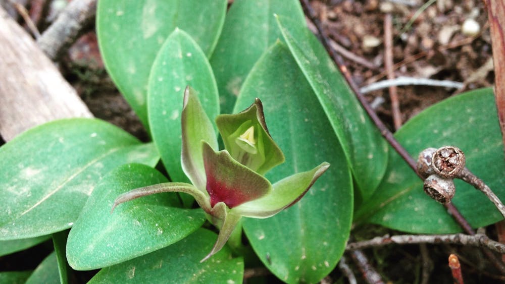 Moorabool - Visit Ballarat