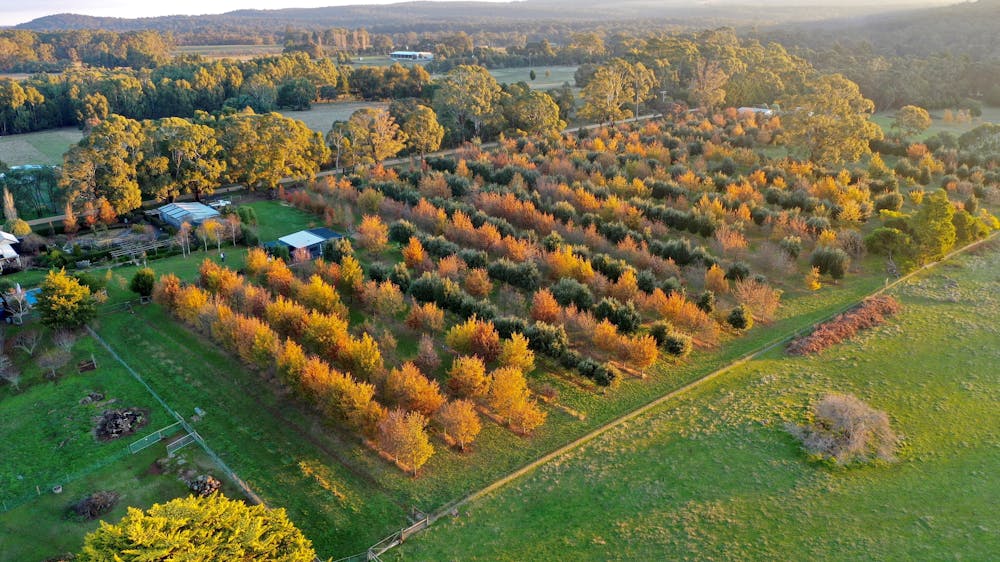 Roy Hammond - Visit Ballarat