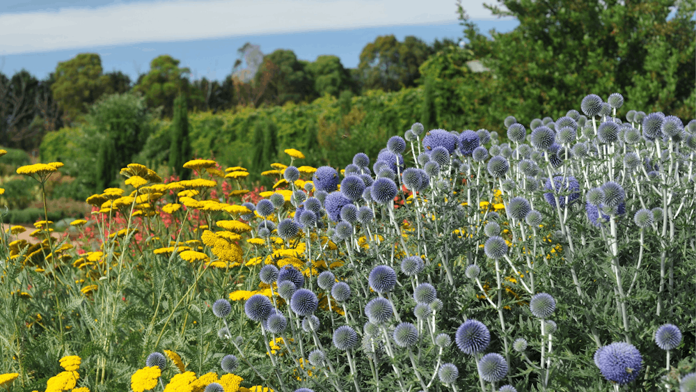 Lambley Nursery and Gardens - Visit Ballarat
