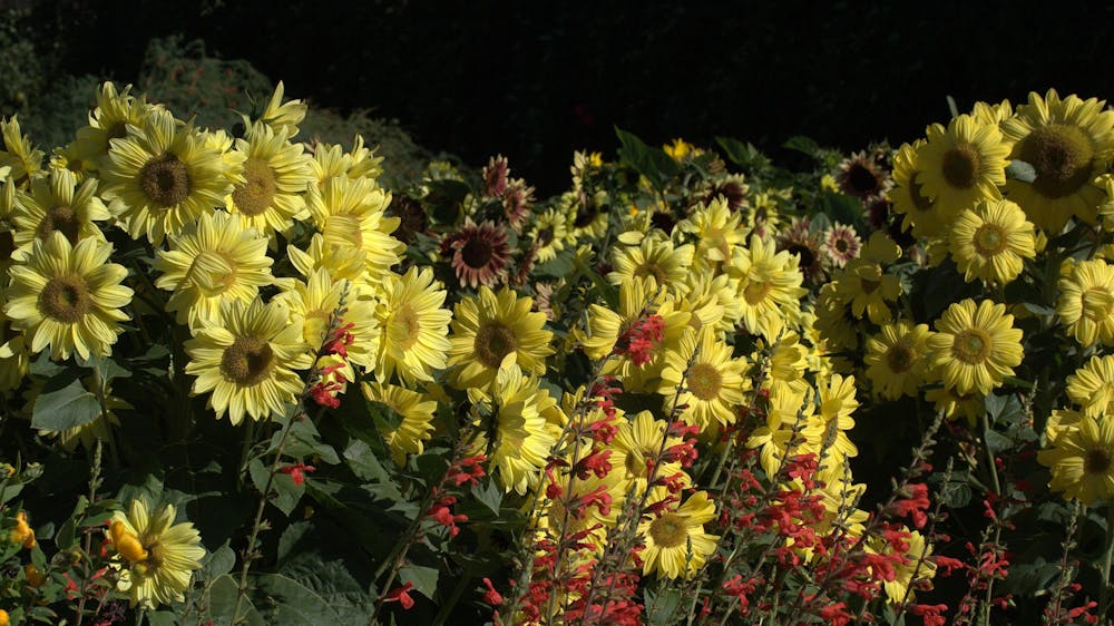 Lambley Nursery and Gardens - Visit Ballarat