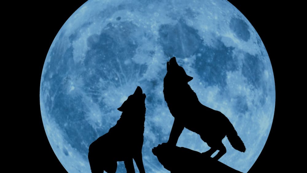 What's on in Ballarat this spring - Visit Ballarat