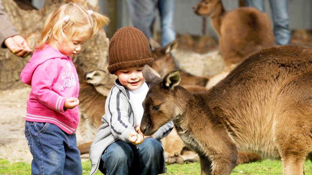 Ballarat Wildlife Park - Visit Ballarat