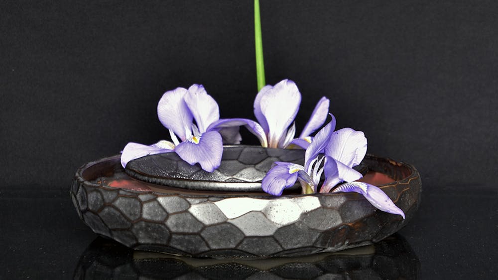 What's on in Ballarat this spring - Visit Ballarat